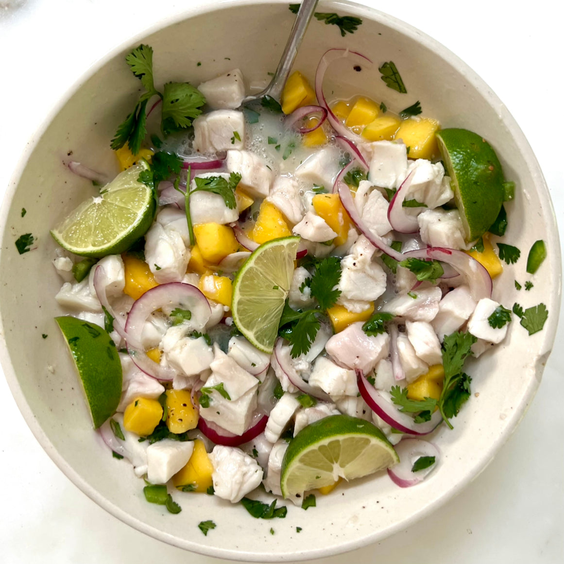 Mango Halibut Ceviche – Premier Catch