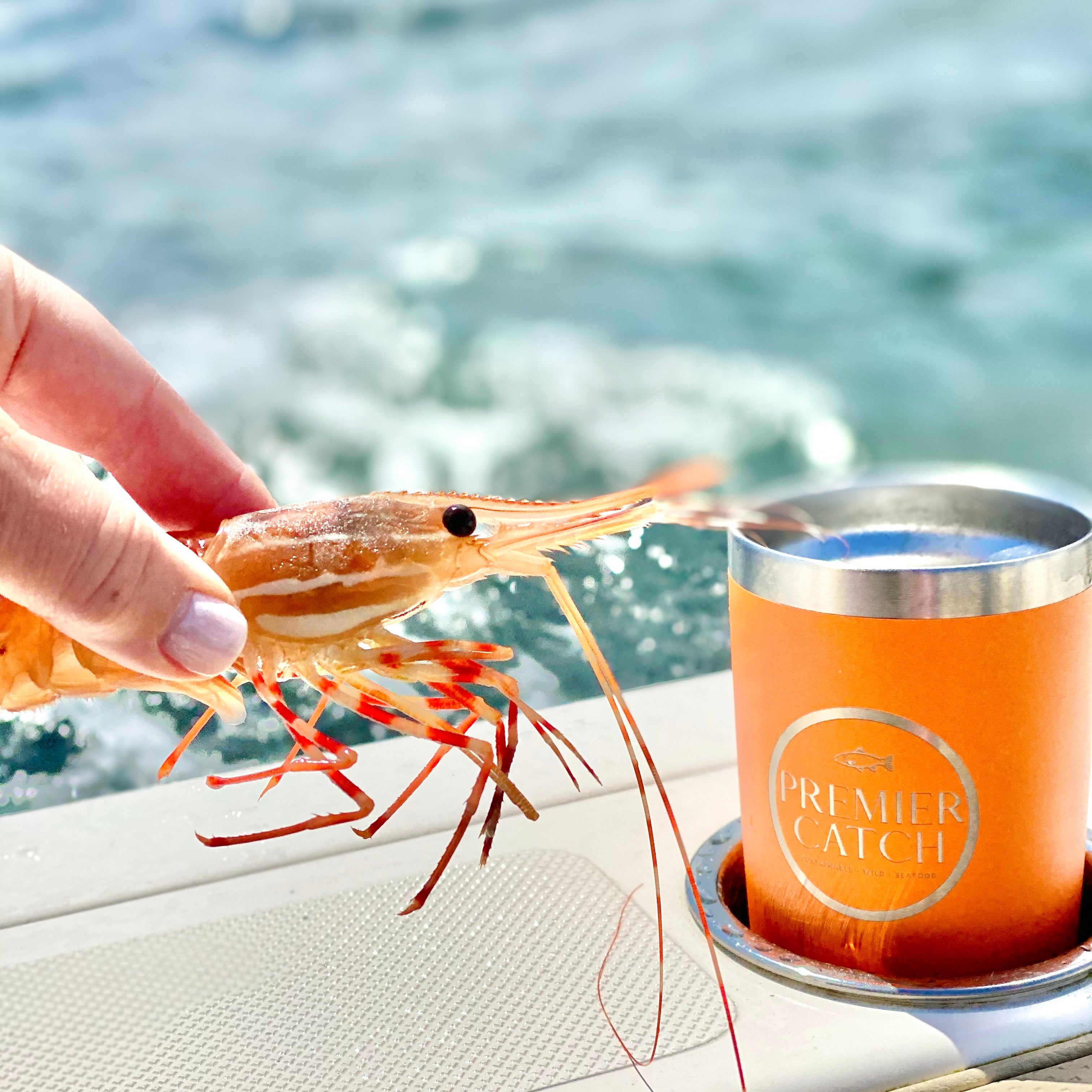 The Ultimate Guide to Peeling and Cooking Spot Prawns – Premier Catch