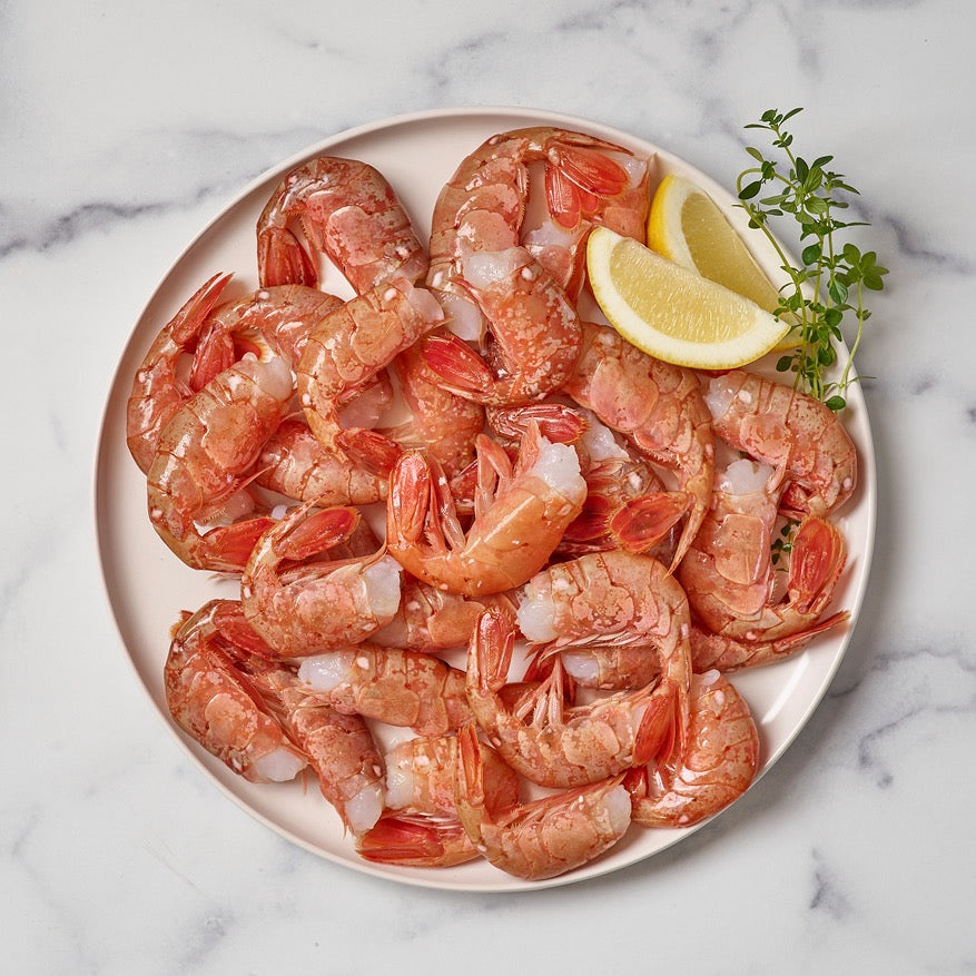Wild Alaskan Spot Prawns. Sustainable Alaska Spot Prawns. – Premier Catch