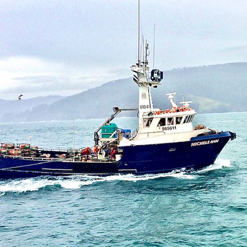 Snow Crab Pasta with Lemon Butter Sauce – Premier Catch