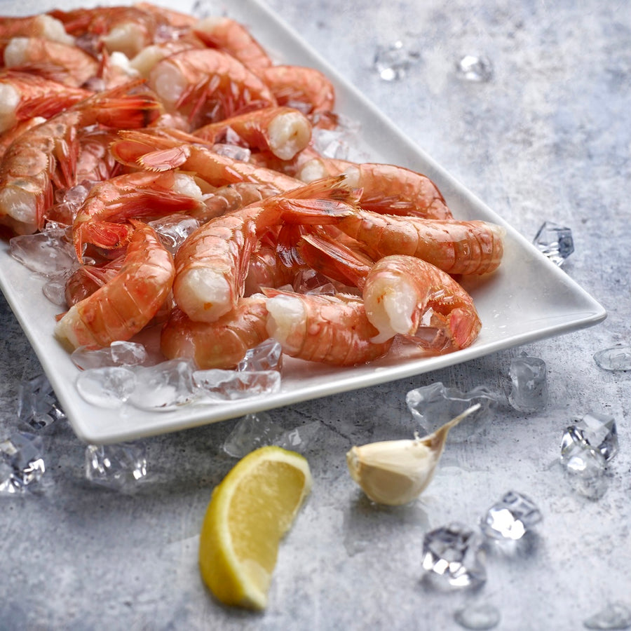 Wild-Caught Sustainable Fish and Shellfish - Premier Catch